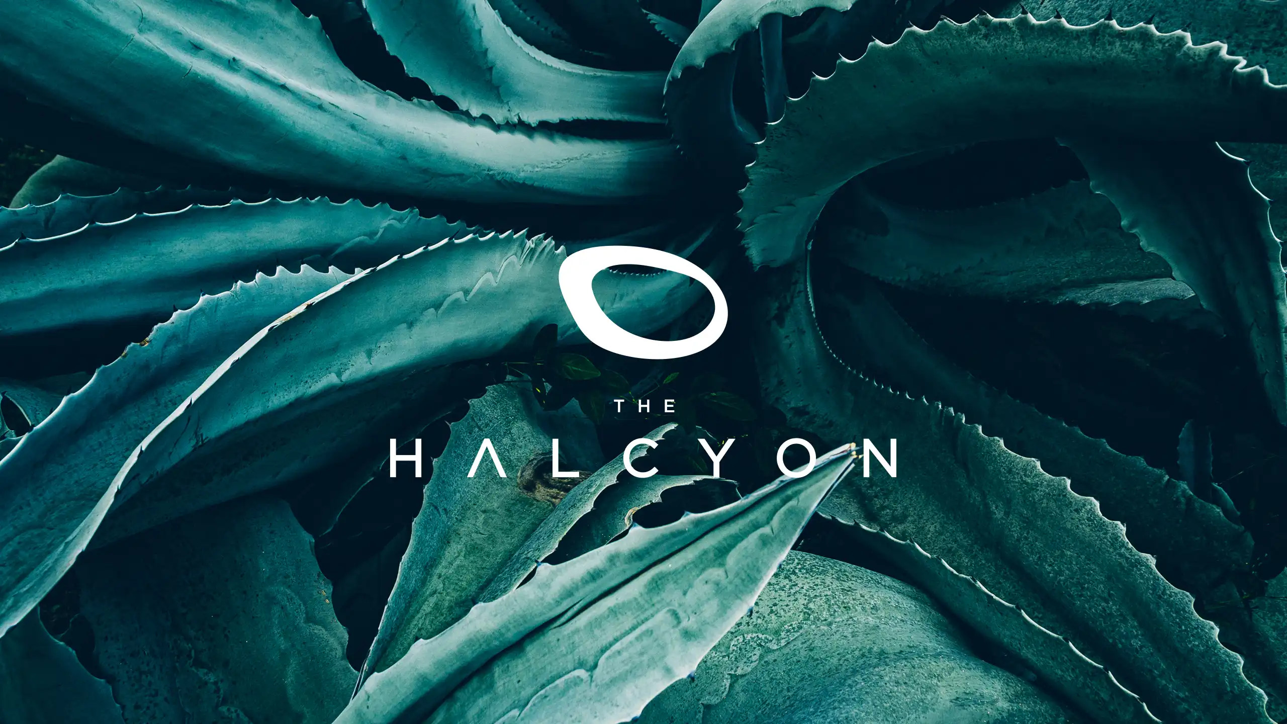The Halcyon Property Development Branding | Crux Design Agency